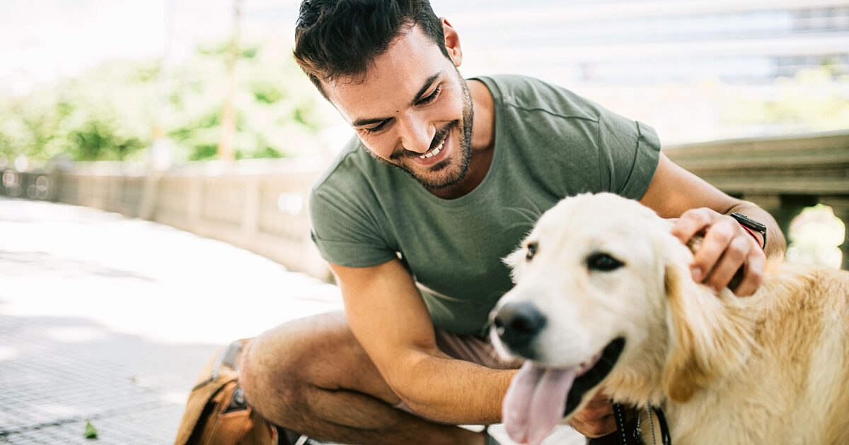 Agility Jump Start | The Academy for Canine Behavior and Training